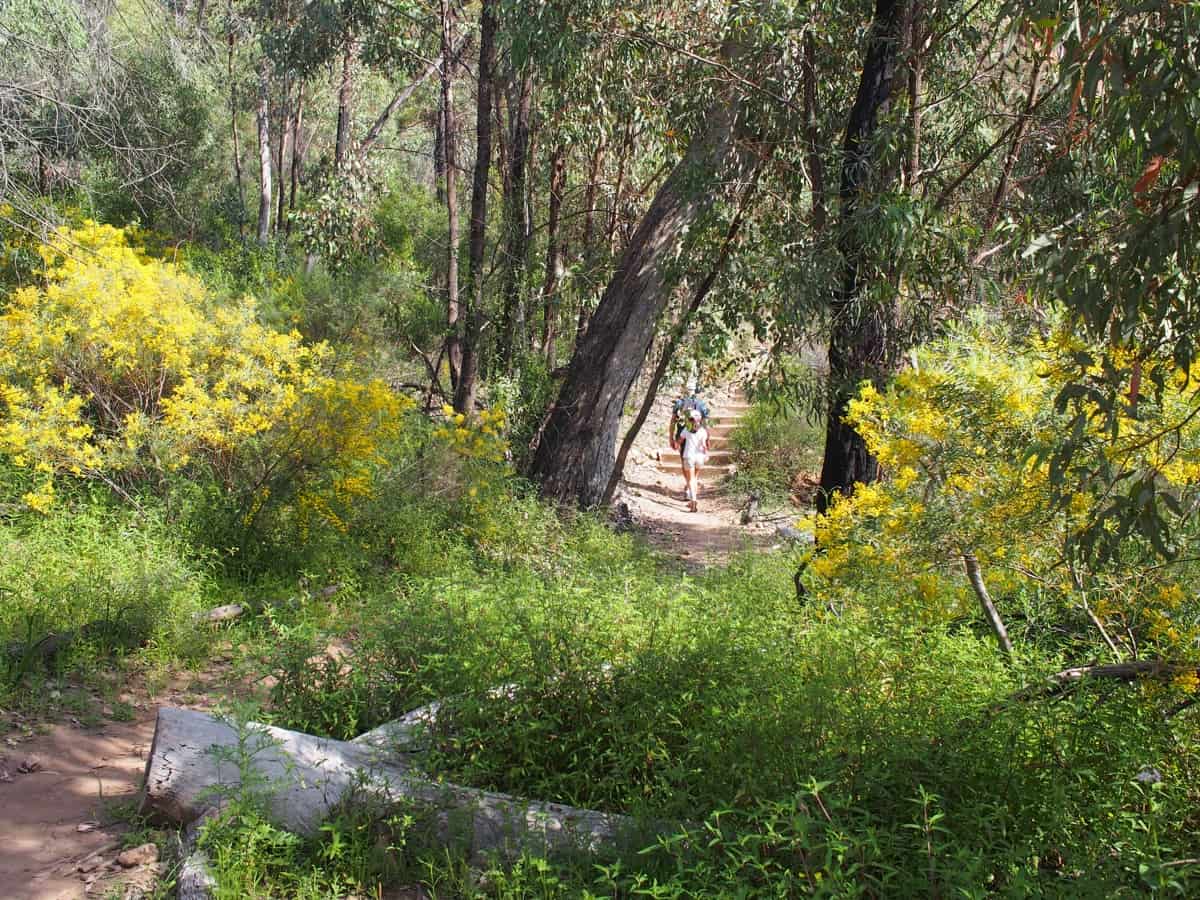 Visit Coonabarabran & the Warrumbungles for Bush Walks, Stargazing ...