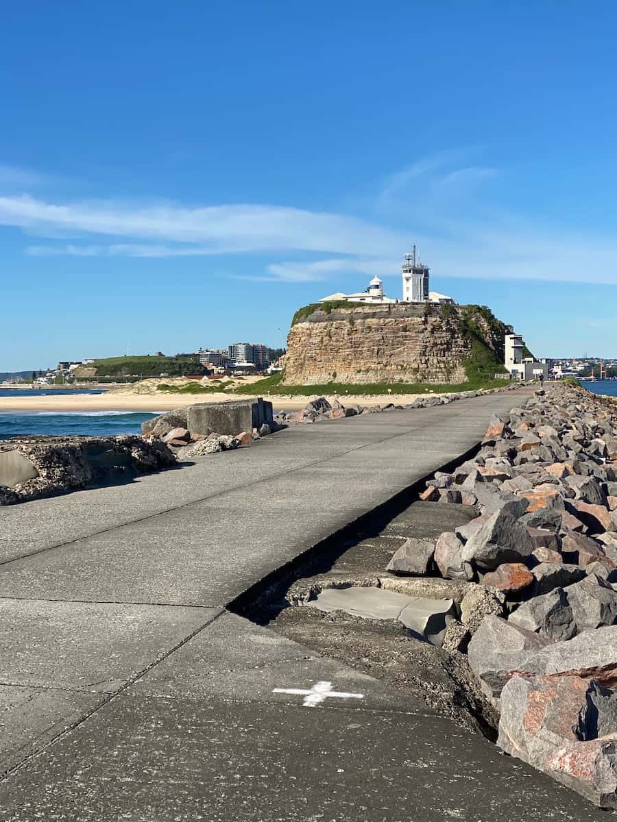 The 20 Best Newcastle Walks & Bush Trails - Newy with Kids