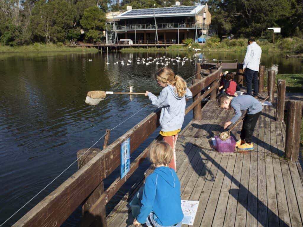 Best Animal Experiences in Newcastle & Hunter to See Wildlife - Newy ...