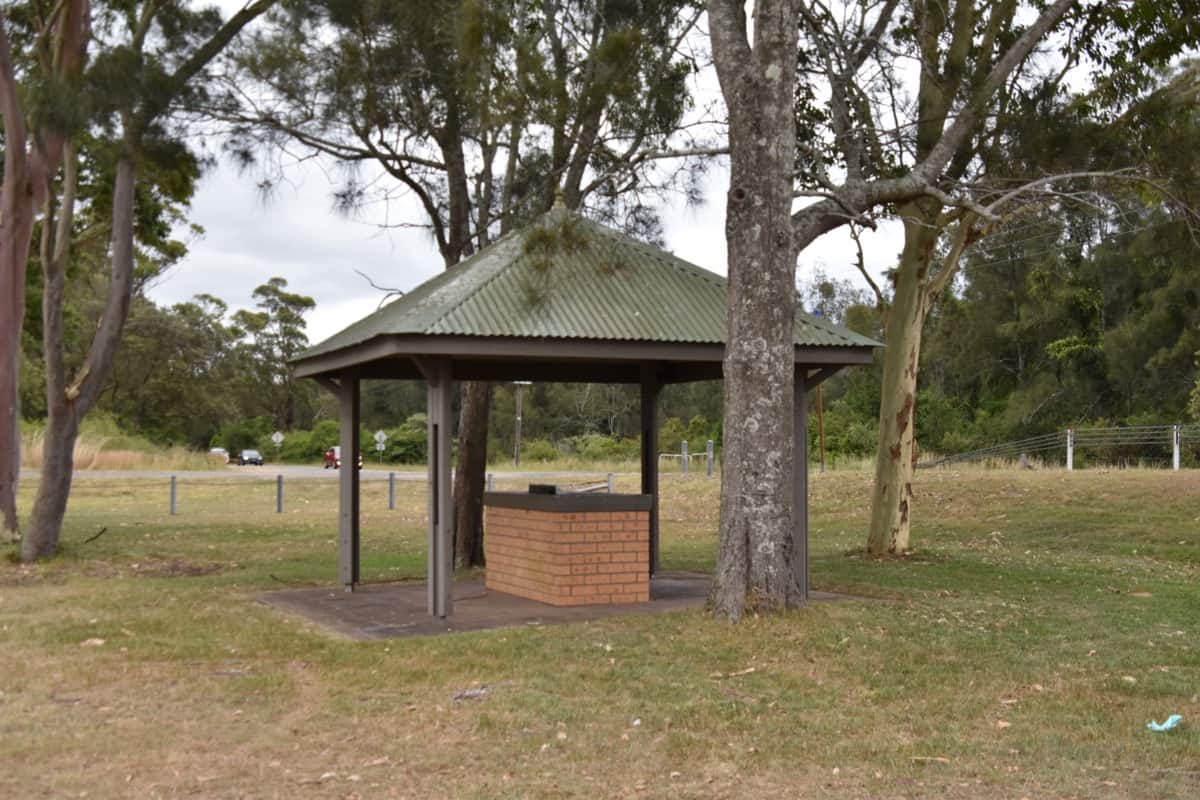 Play, Picnic & Spot Turtles at Myuna Bay - Newy with Kids