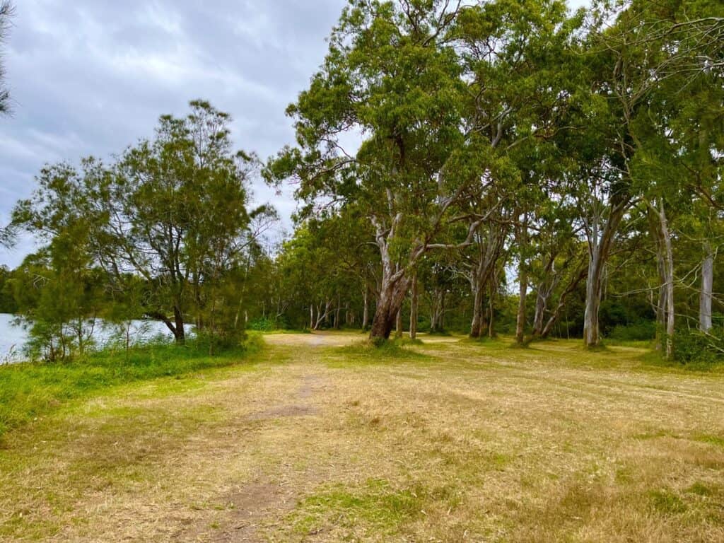 Play, Picnic & Spot Turtles at Myuna Bay - Newy with Kids