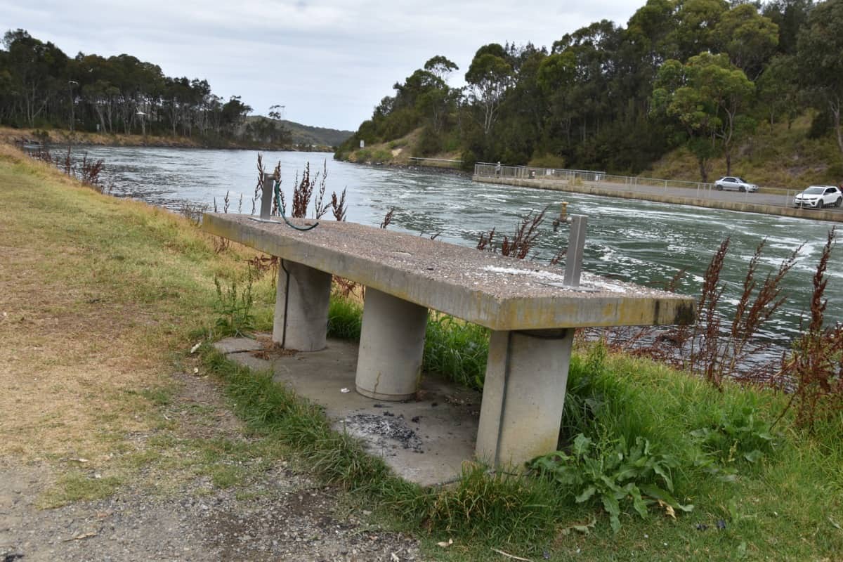 Play, Picnic & Spot Turtles at Myuna Bay - Newy with Kids