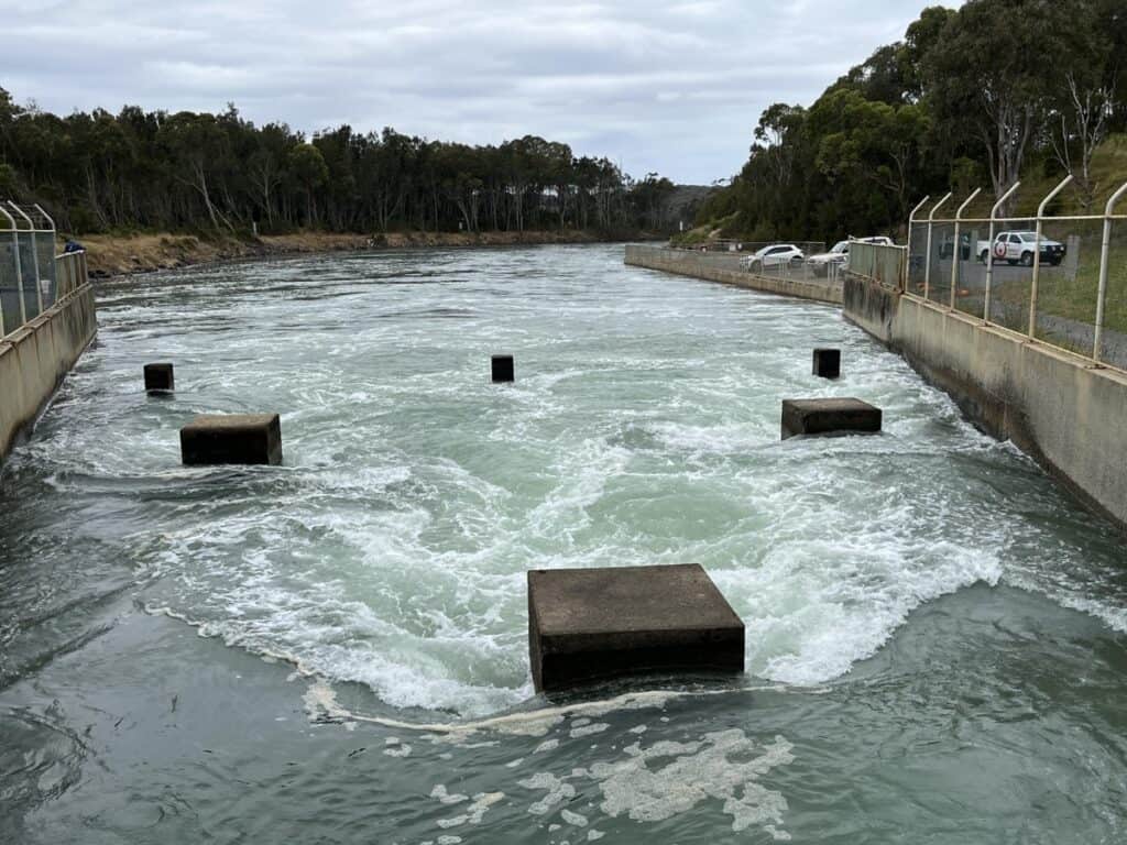 Play, Picnic & Spot Turtles at Myuna Bay - Newy with Kids
