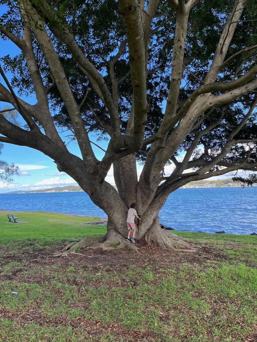 Great Views & a Lakeside Playground at Bolton Point Park - Newy with Kids