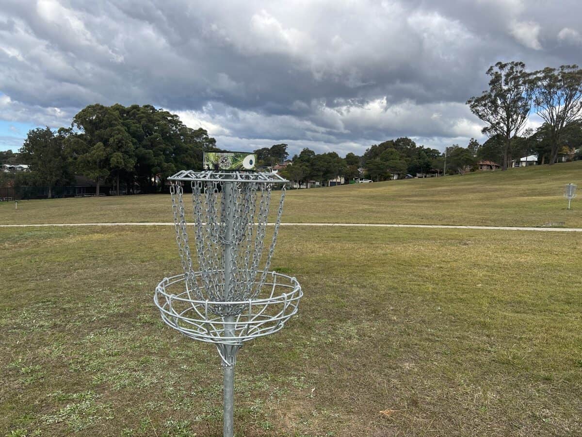 Play Disc Golf with Frisbees at Armstrong Park in Lambton - Newy with Kids