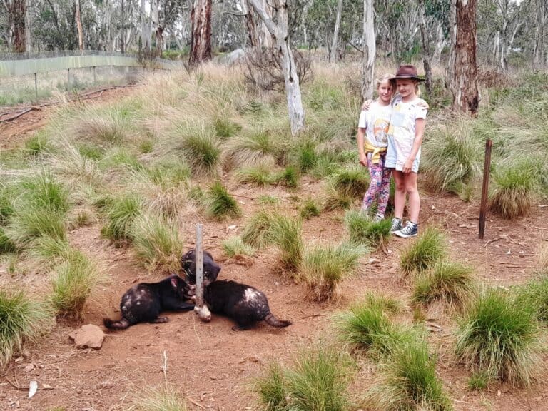Enjoy a Family Adventure to Aussie Ark: Tasmanian Devil & Australian ...