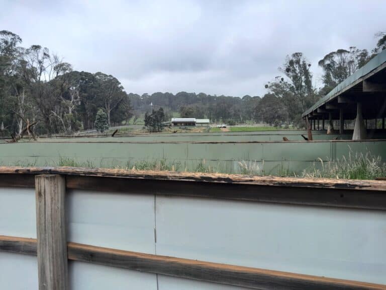 Enjoy a Family Adventure to Aussie Ark: Tasmanian Devil & Australian ...