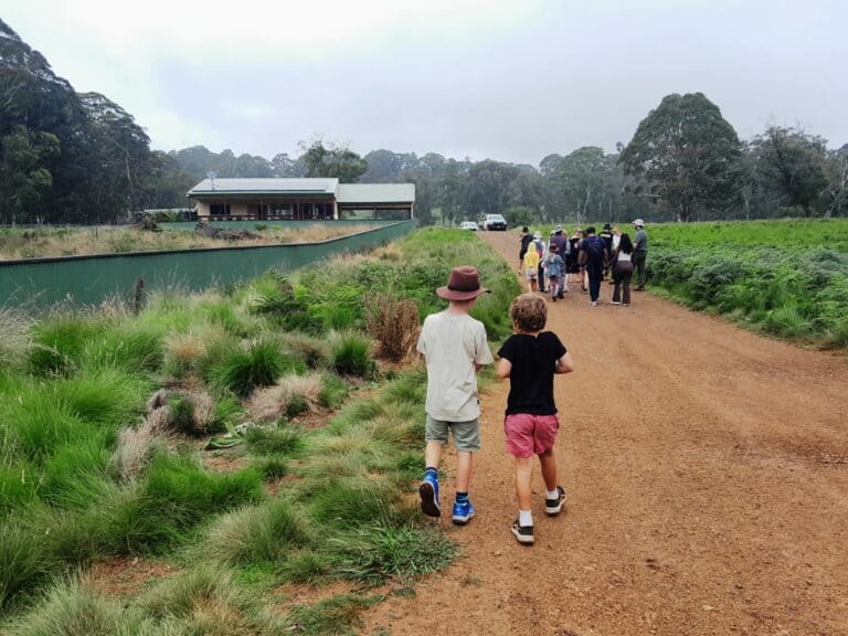 Enjoy a Family Adventure to Aussie Ark: Tasmanian Devil & Australian ...