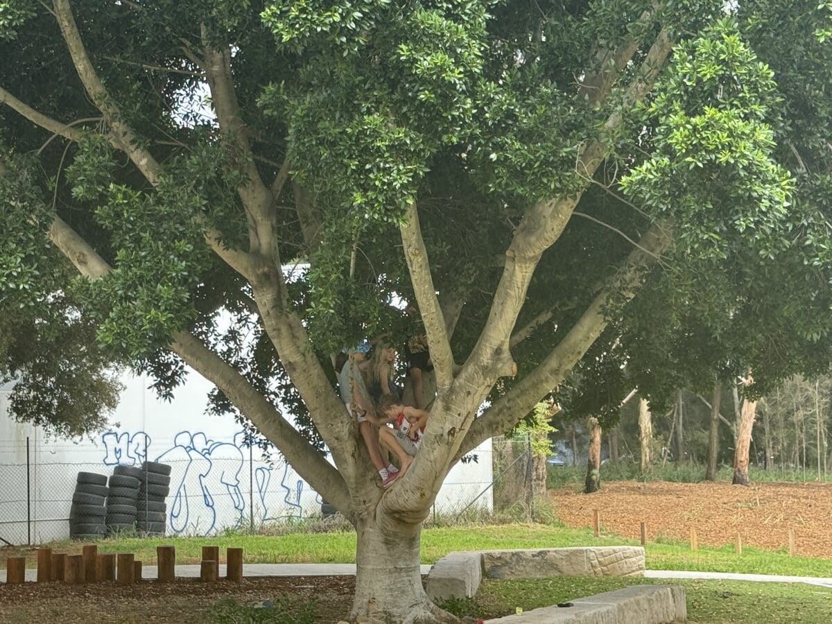 Harold Gregson Reserve Now With a New Play Tower! - Newy with Kids