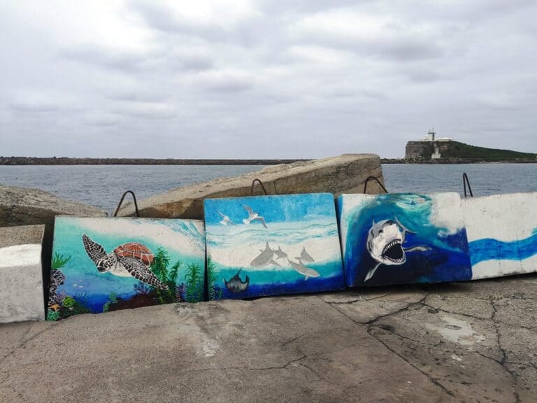 Discover History and Views Along Stockton Shipwreck Walk - Newy with Kids