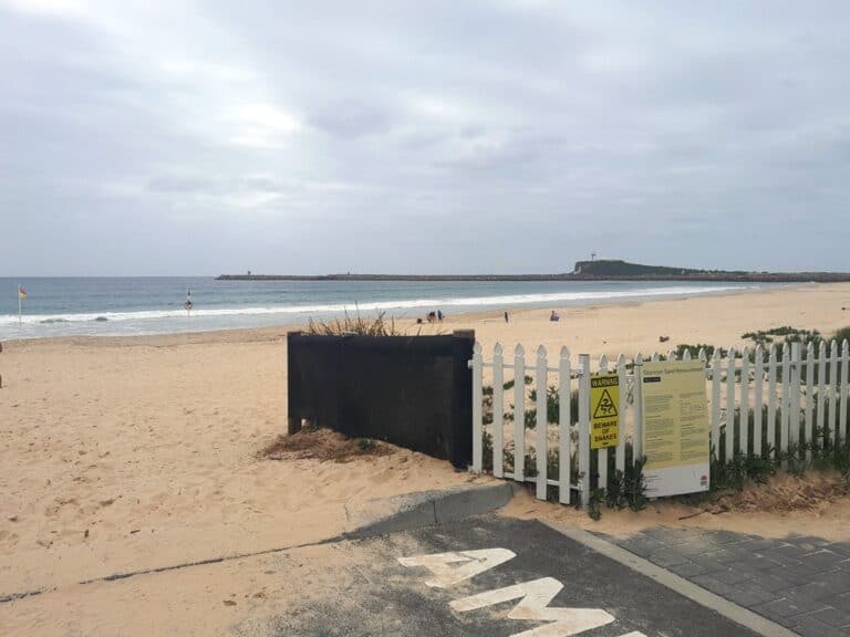 Enjoy a Family Day at the Beach on Stockton Beach - Newy with Kids