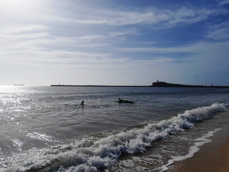 Enjoy a Family Day at the Beach on Stockton Beach - Newy with Kids