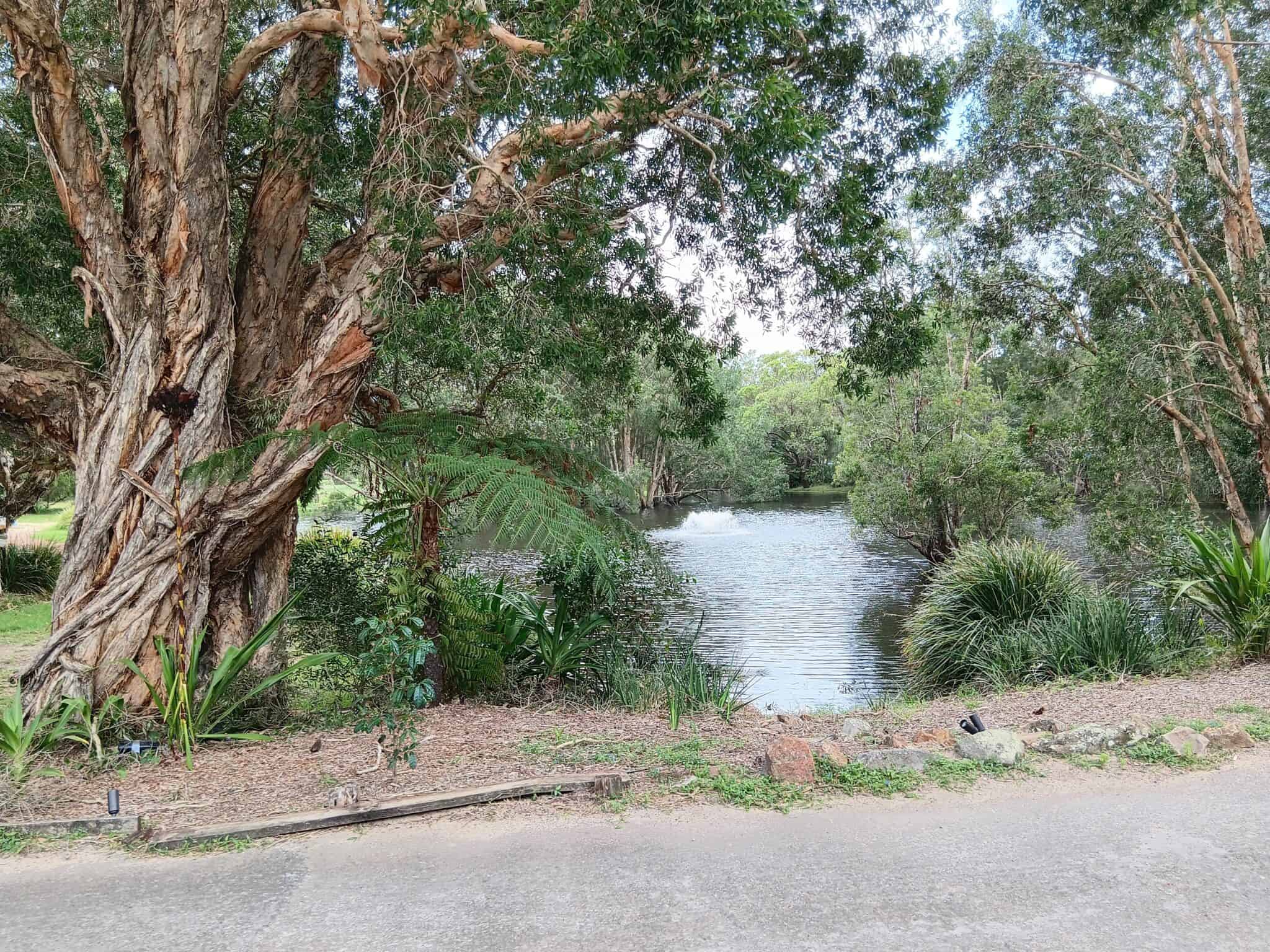Discover Local Aboriginal Culture at Murrook Culture Centre Williamtown ...
