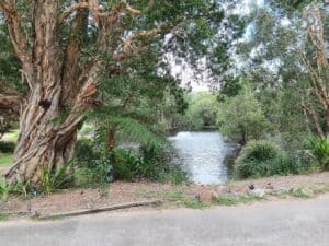 Discover Local Aboriginal Culture at Murrook Culture Centre Williamtown ...