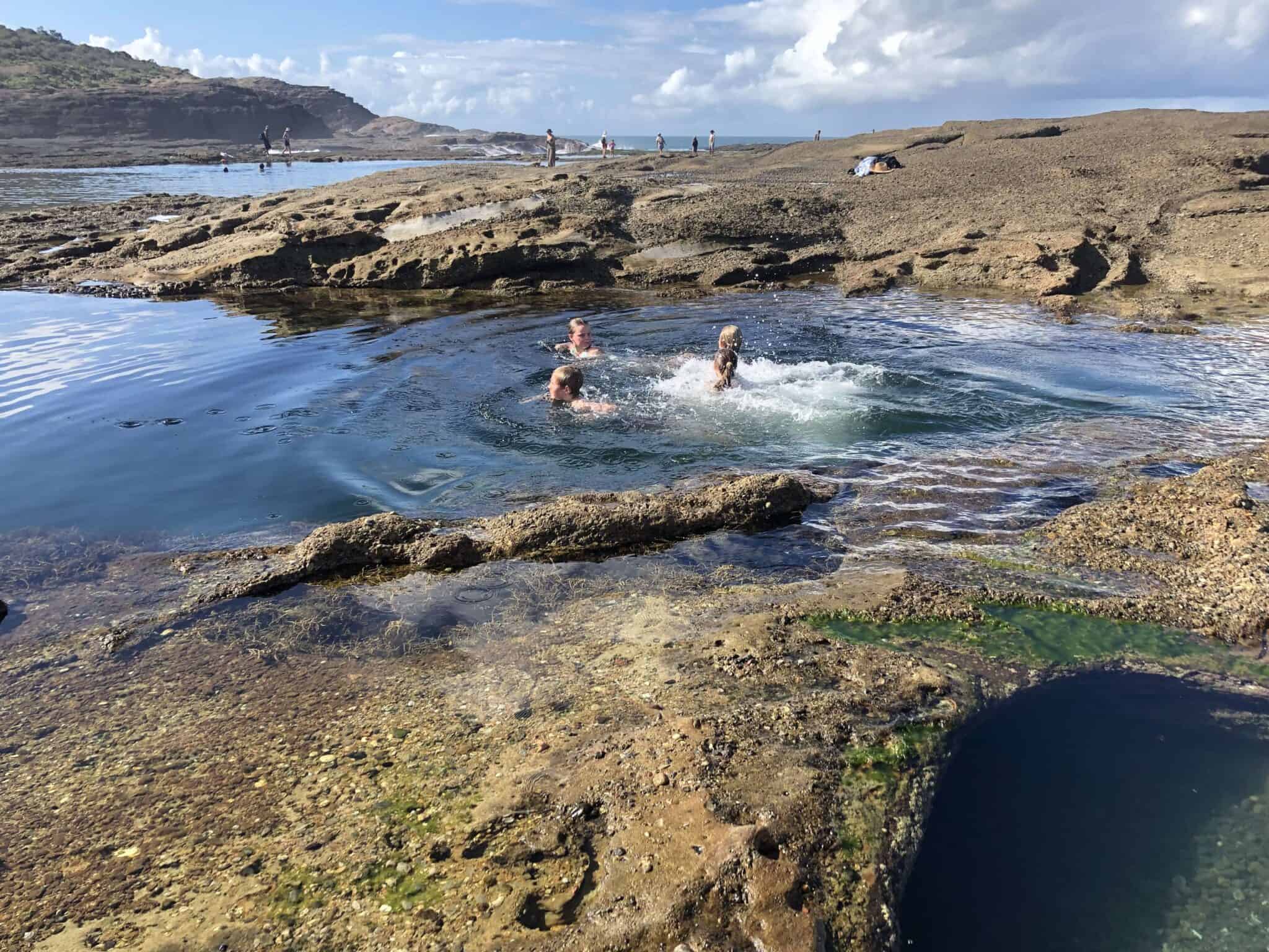 Explore the Rockpools in Catherine Hill Bay - Newy with Kids