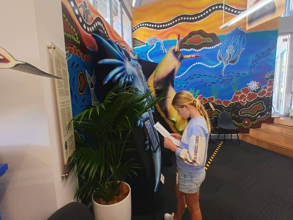 Learn About Local Marine Life at the Port Stephens Marine Creatures ...